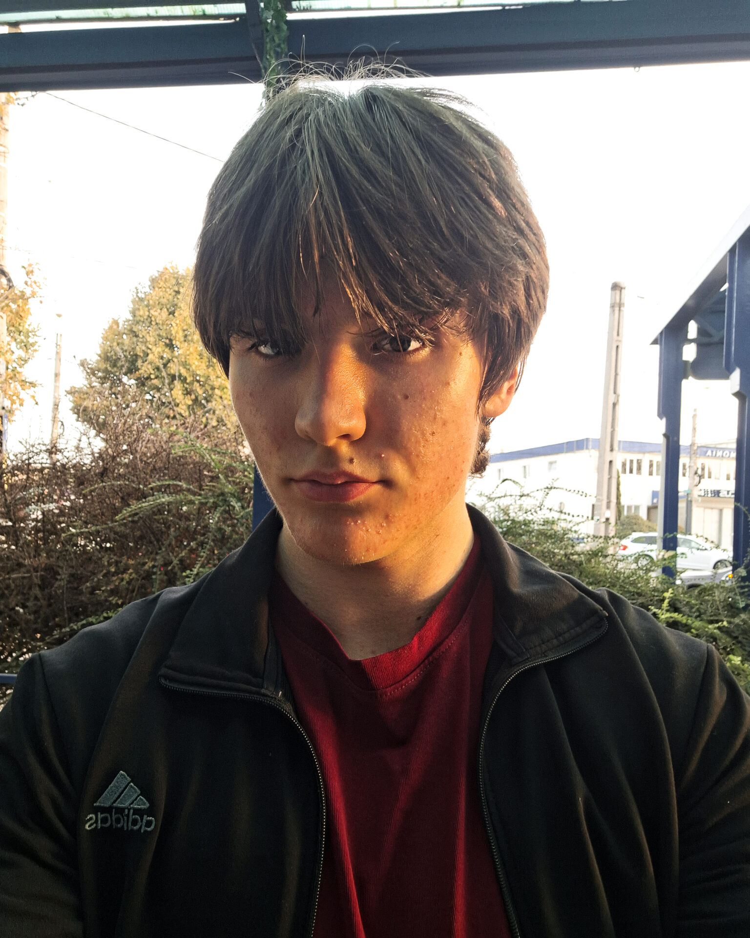 Coordonare - Revista Zări Alb Astre